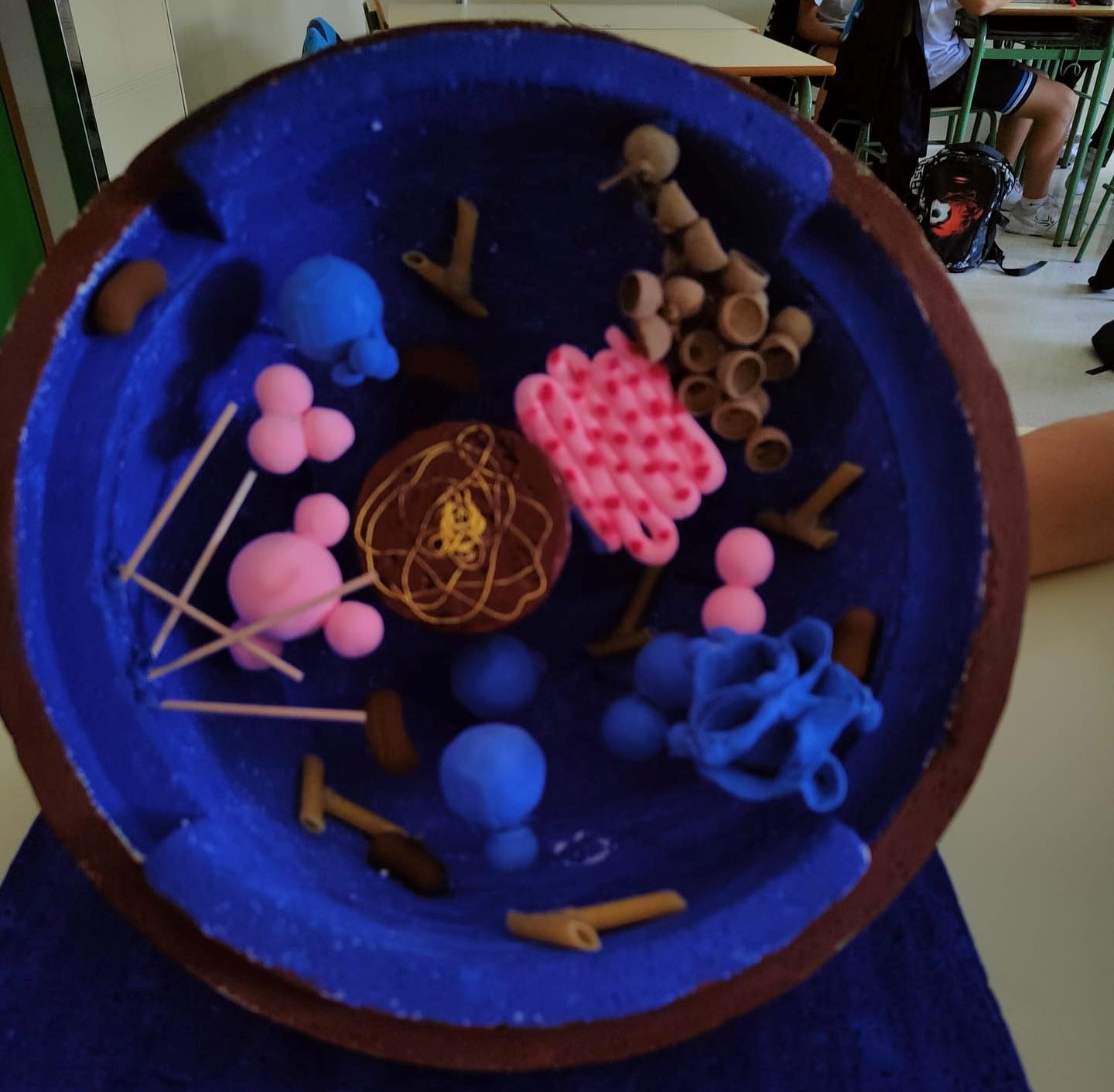 CÉLULA EUCARIOTA ANIMAL